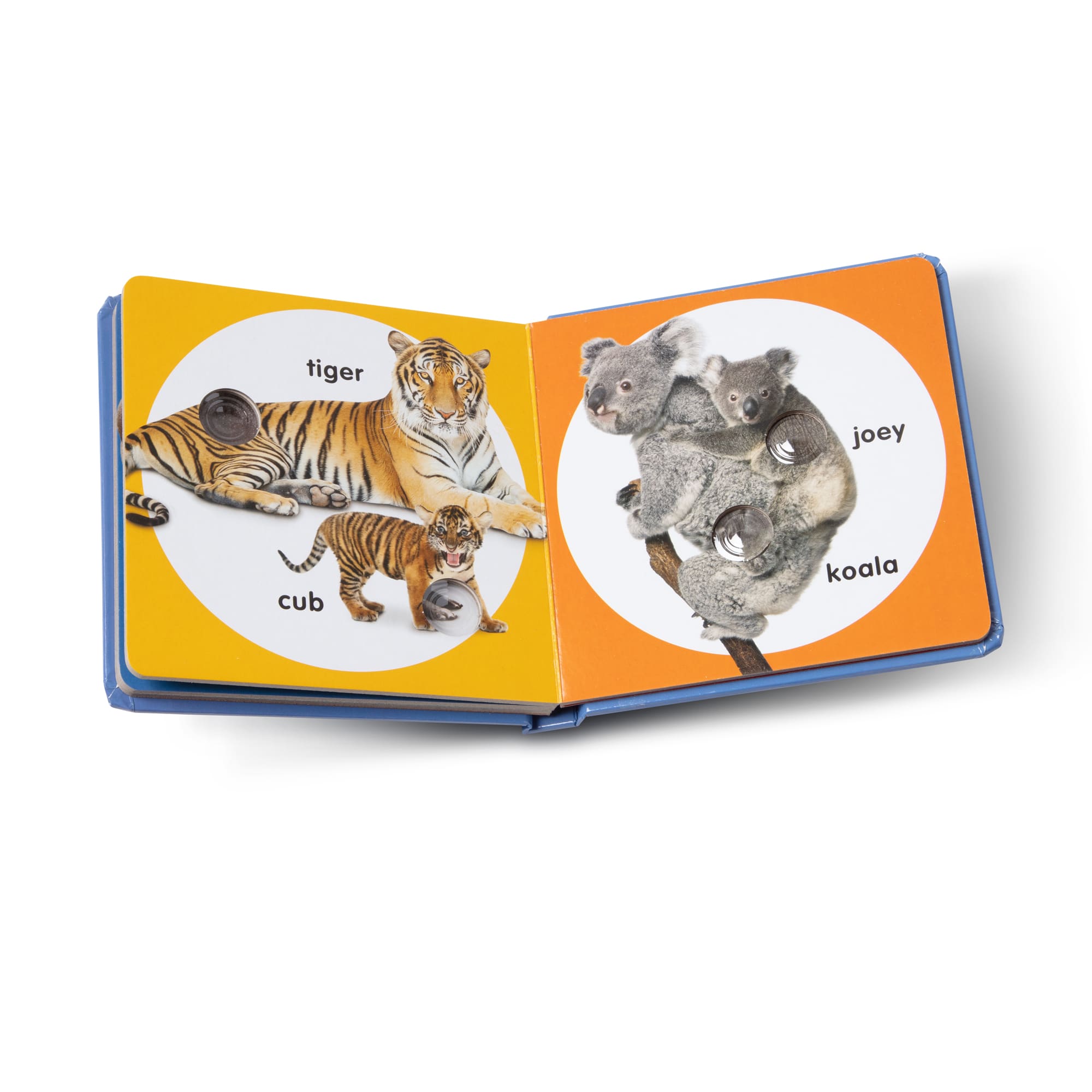 Product: Poke-a-Dot - Wild Animal Families