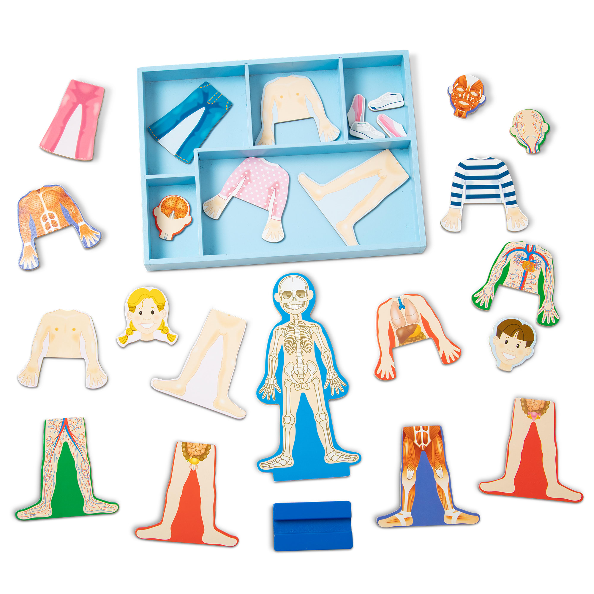 Product: Magnetic Human Body Play Set