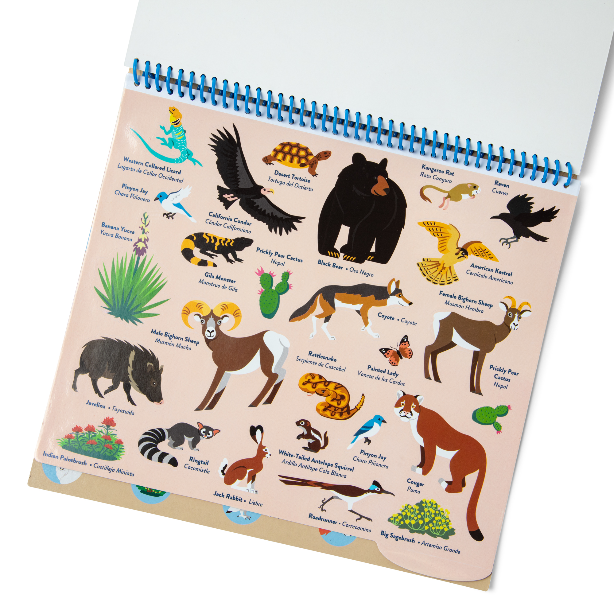 Product: National Parks Reusable Stickers - Park Animals (5 Scenes, 121 ...