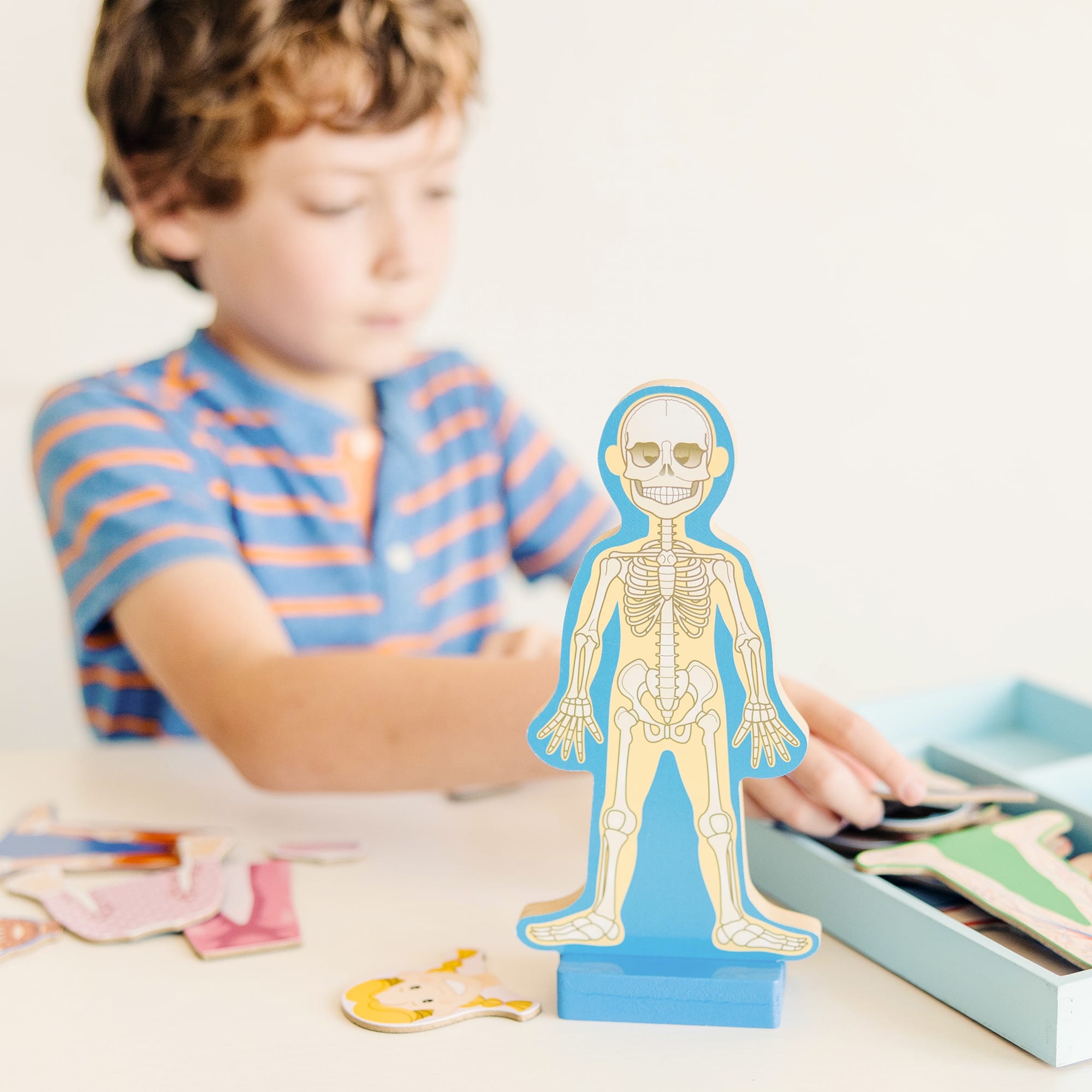 Product: Magnetic Human Body Play Set