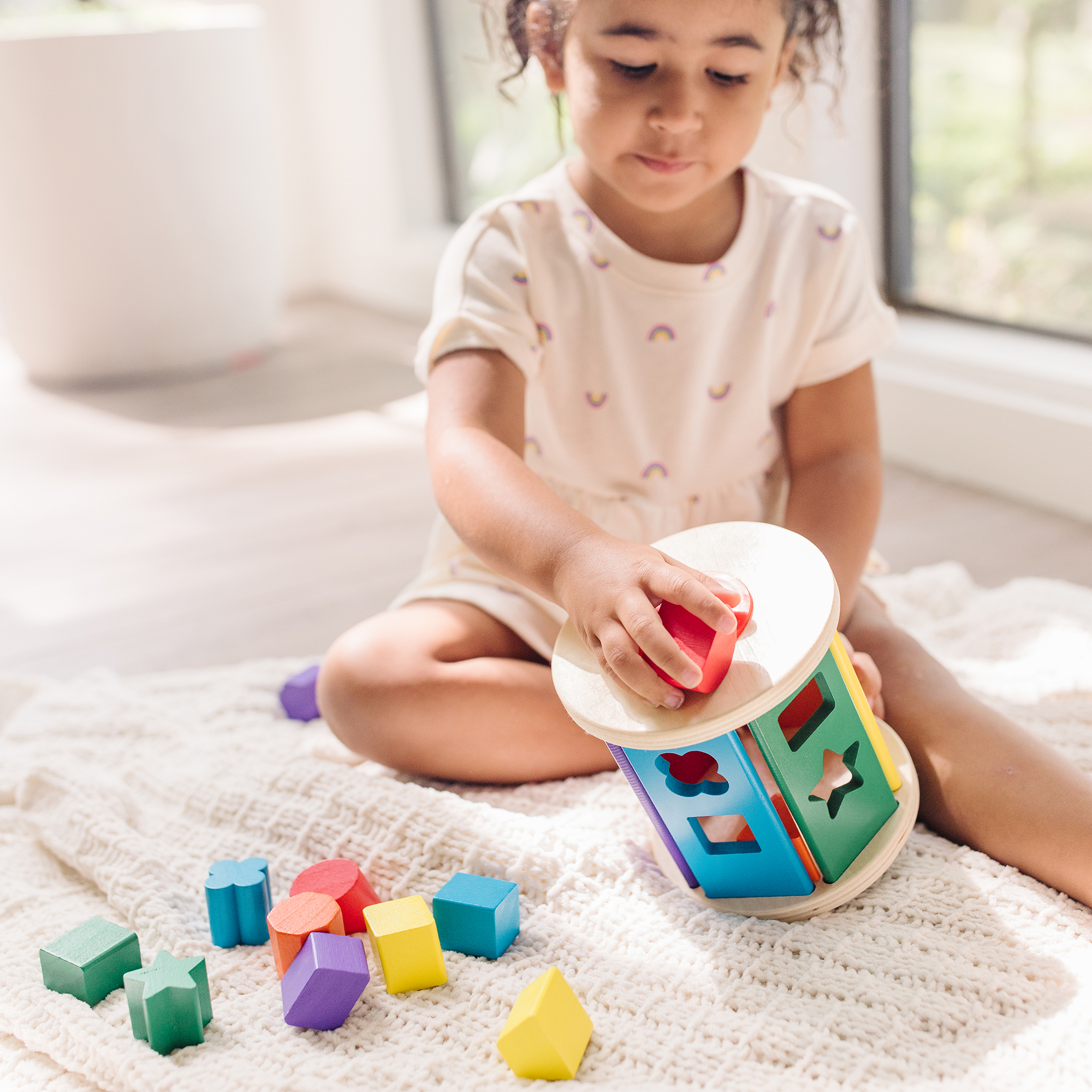 Product: Match & Roll Shape Sorter
